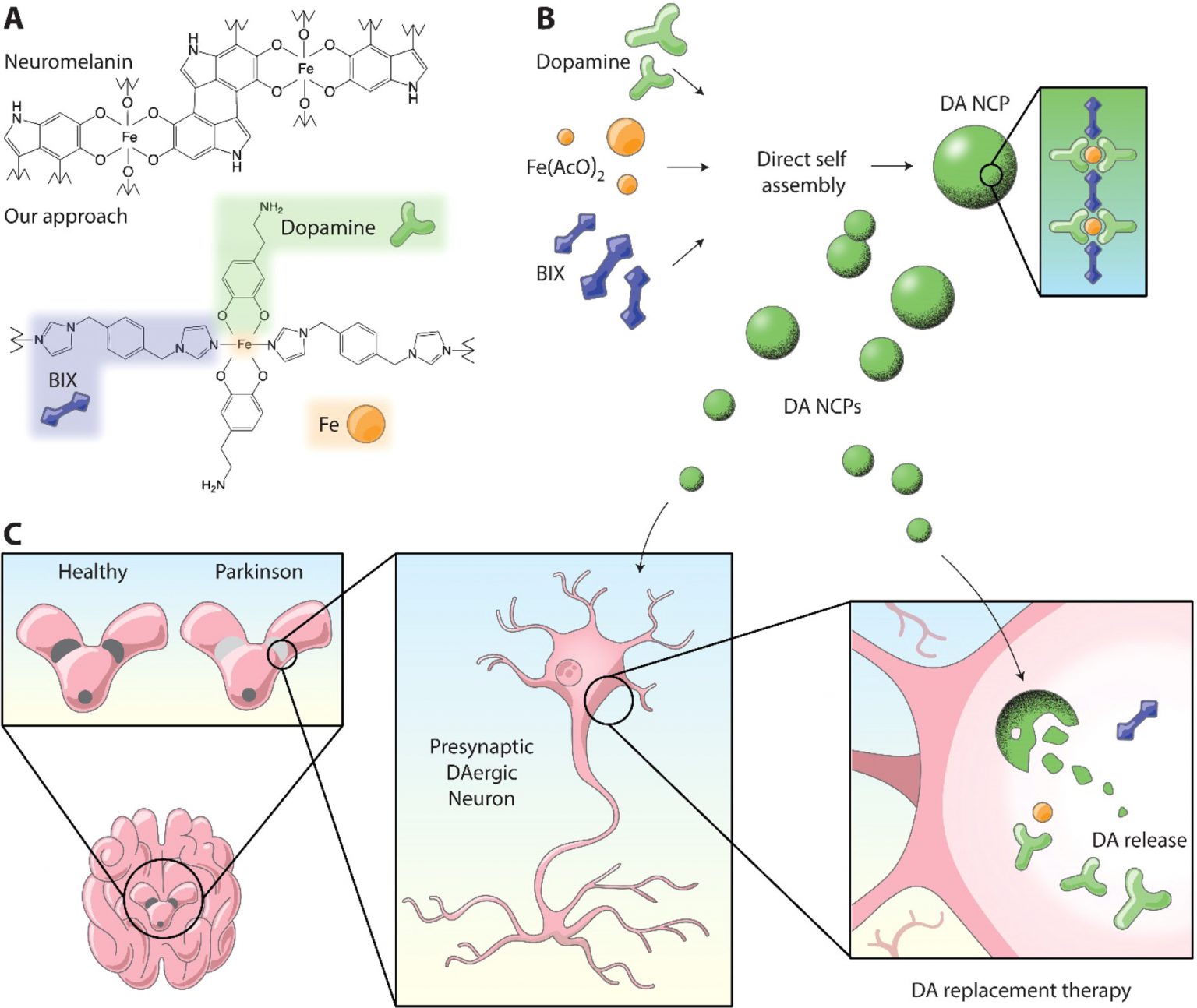 Novel nano-encapsulation approach for efficient dopamine delivery in ...